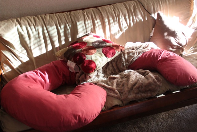 Let’s Snoogle - The Fitnessista