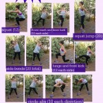 Functional Core Workout - The Fitnessista