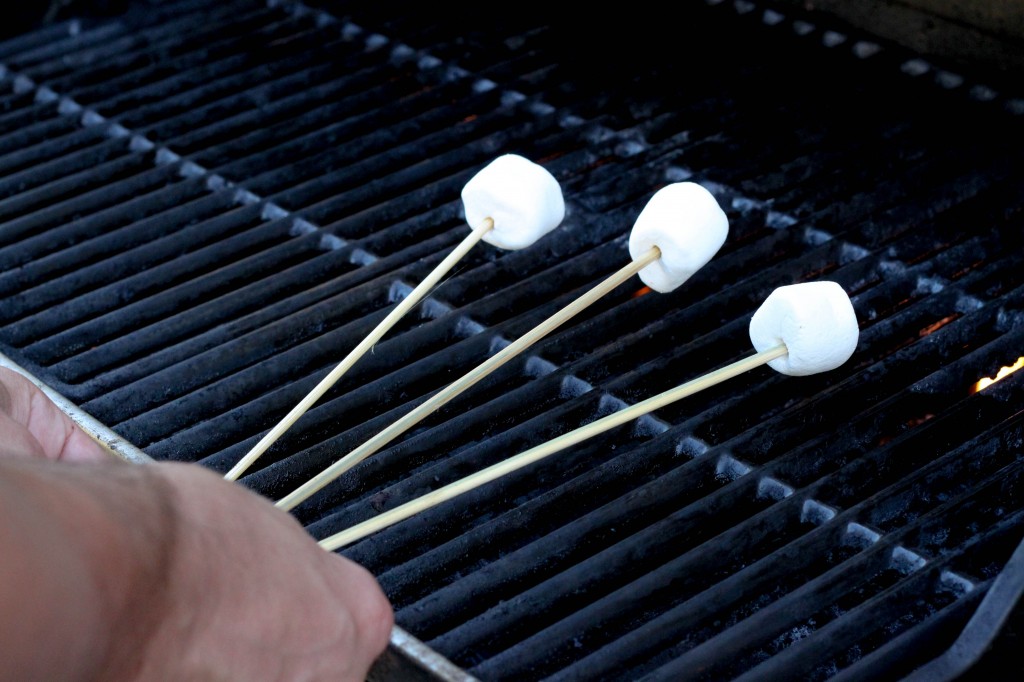 4th weekend pics - The Fitnessista