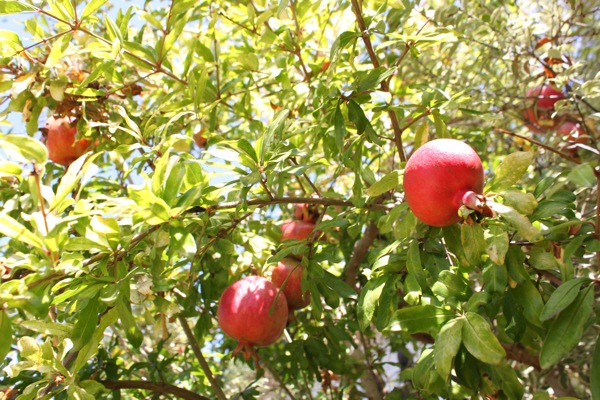 Friday Faves: Taking Liv to her Favorite Singing Mice