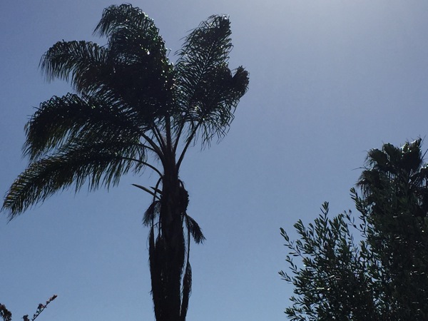 Friday Faves - The Fitnessista