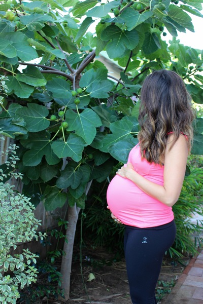 Weeks 29-31 - The Fitnessista