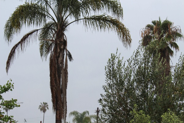 Stop Wasting Time At the Gym - The Fitnessista