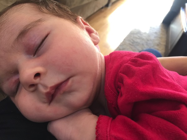 Home for the holidays - The Fitnessista