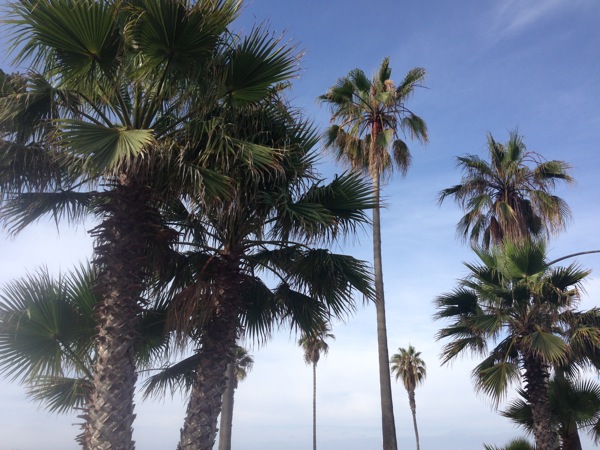 Spring clean your fitness routine - The Fitnessista