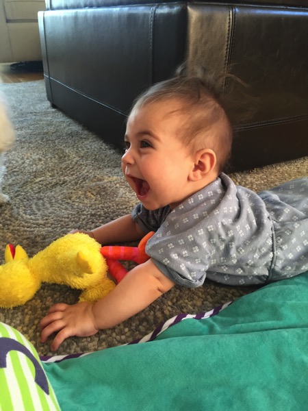 around the weekend + meal prep for the week - The Fitnessista