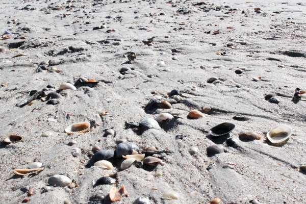 Jax for kicks - The Fitnessista