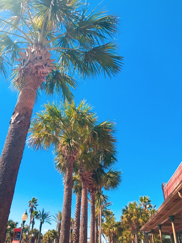 Jax for kicks - The Fitnessista