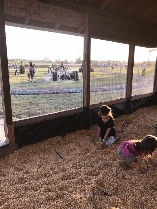 Georgia grown - The Fitnessista