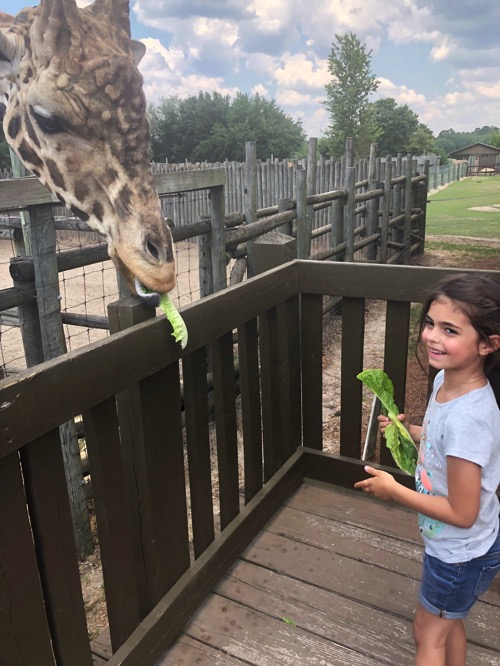 Momaste - The Fitnessista