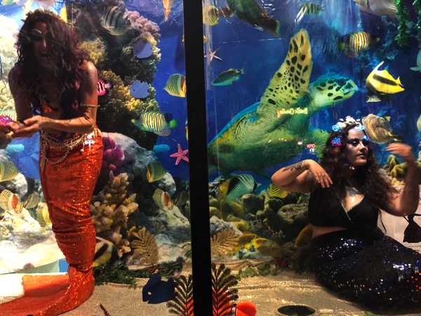 Friday Faves - The Fitnessista