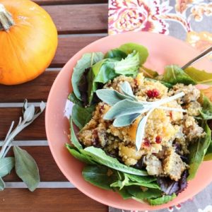 Quinoa Stuffing with Cranberries