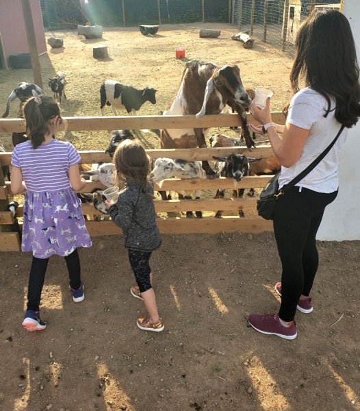 the GOATs – Rene Schmitt