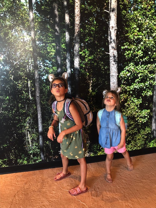 Great Wolf Lodge Scottsdale Review - The Fitnessista