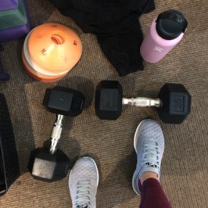 The Fitnessista - At-Home Workouts, Fitness Plans and Healthy Living Tips