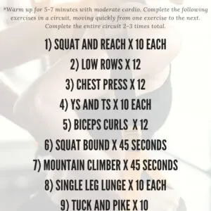 TRX Workout Plan for Beginners - The Fitnessista