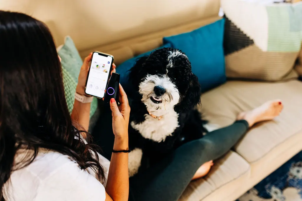 How to calculate and track macros - LookExcellent.com