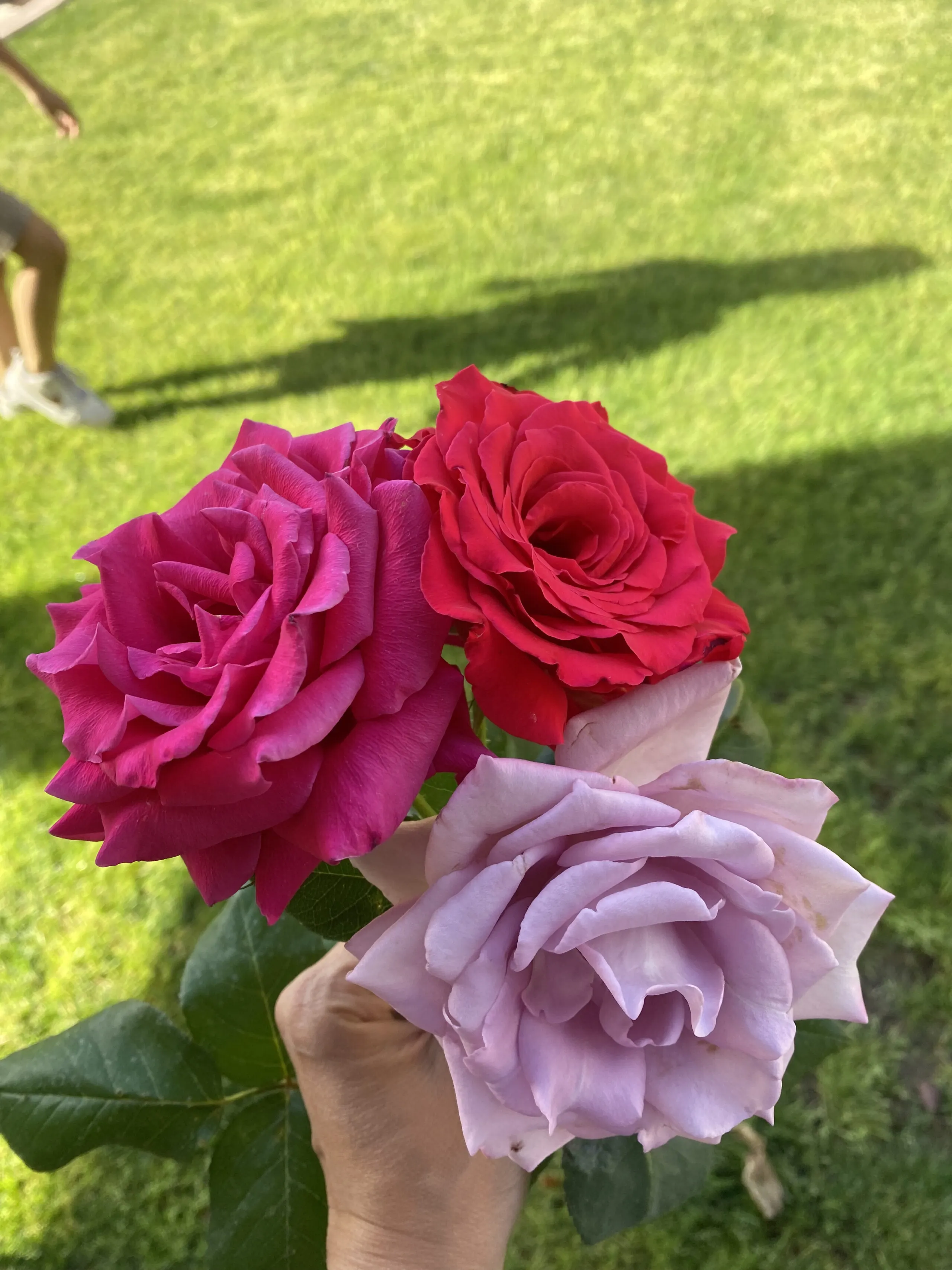 Friday Faves 5.5 - The Fitnessista | Lifestyle Blog