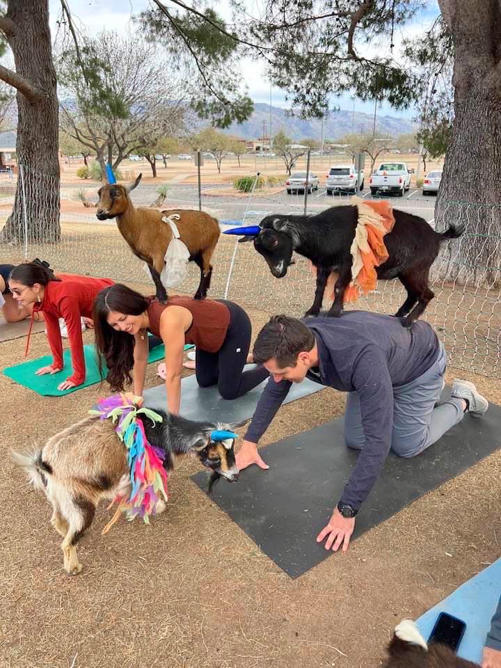 Friday Faves 3.3 - The Fitnessista | Lifestyle & Fitness Blog