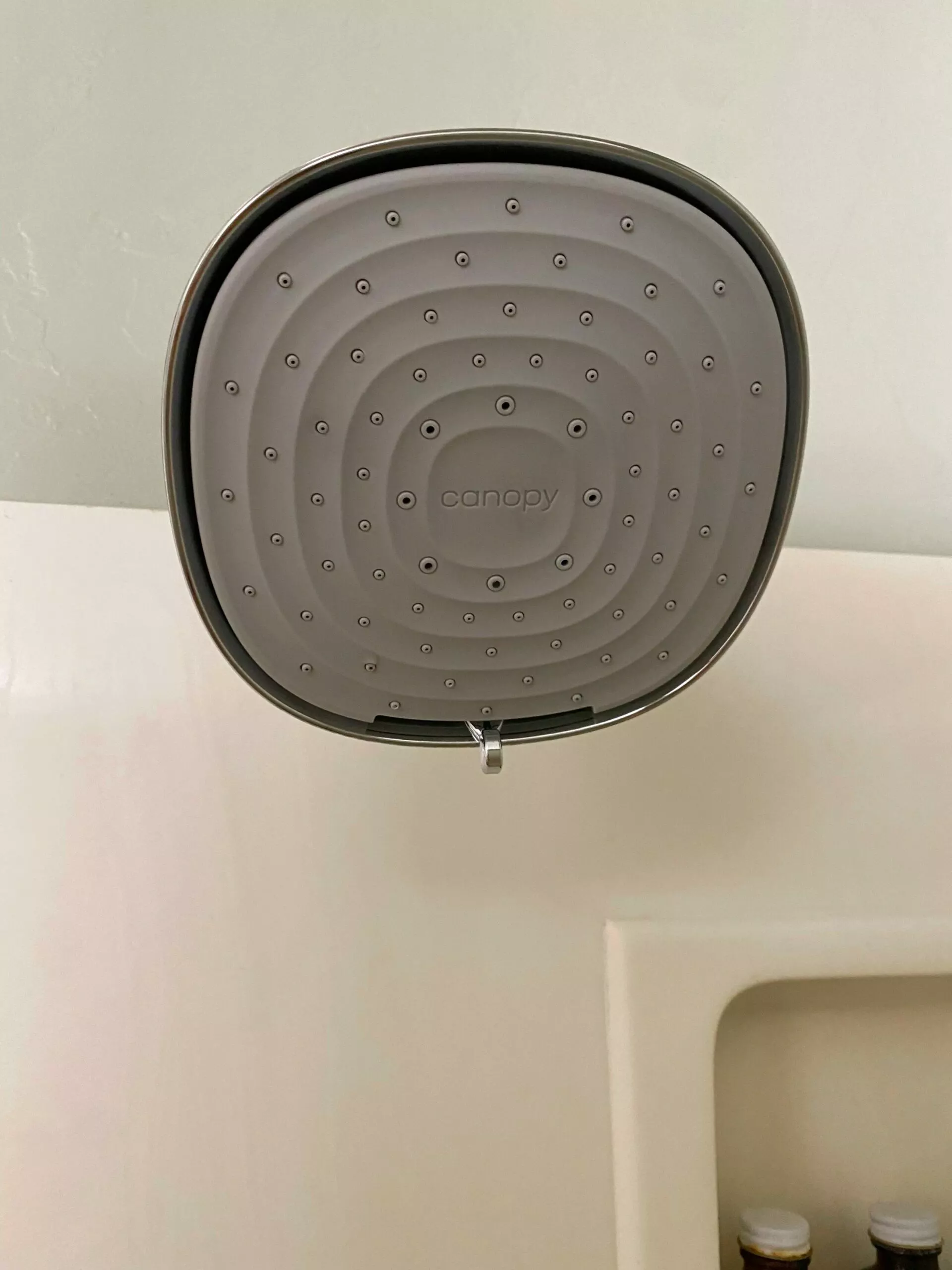 the best shower water filter - The Fitnessista