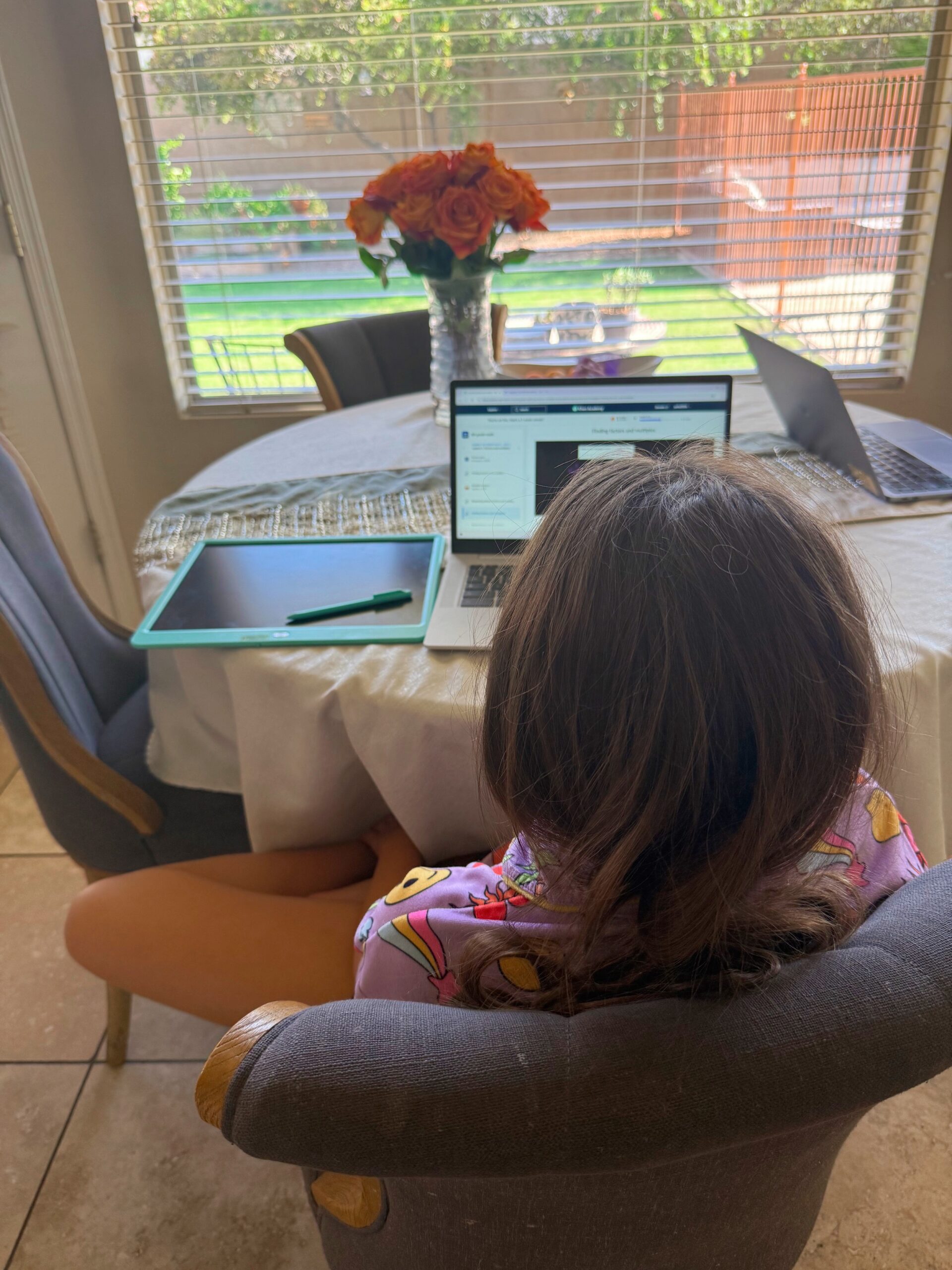 Our 4th grade homeschool curriculum - The Love Bud